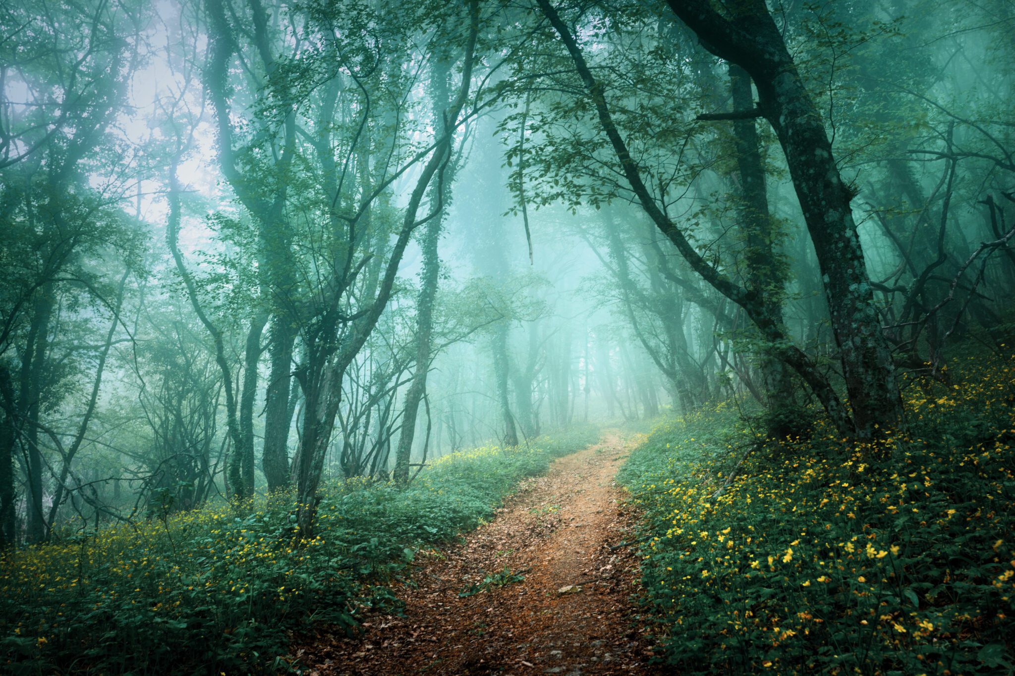 The Individuation Process in Jungian Psychology | Jungian Analysis ...